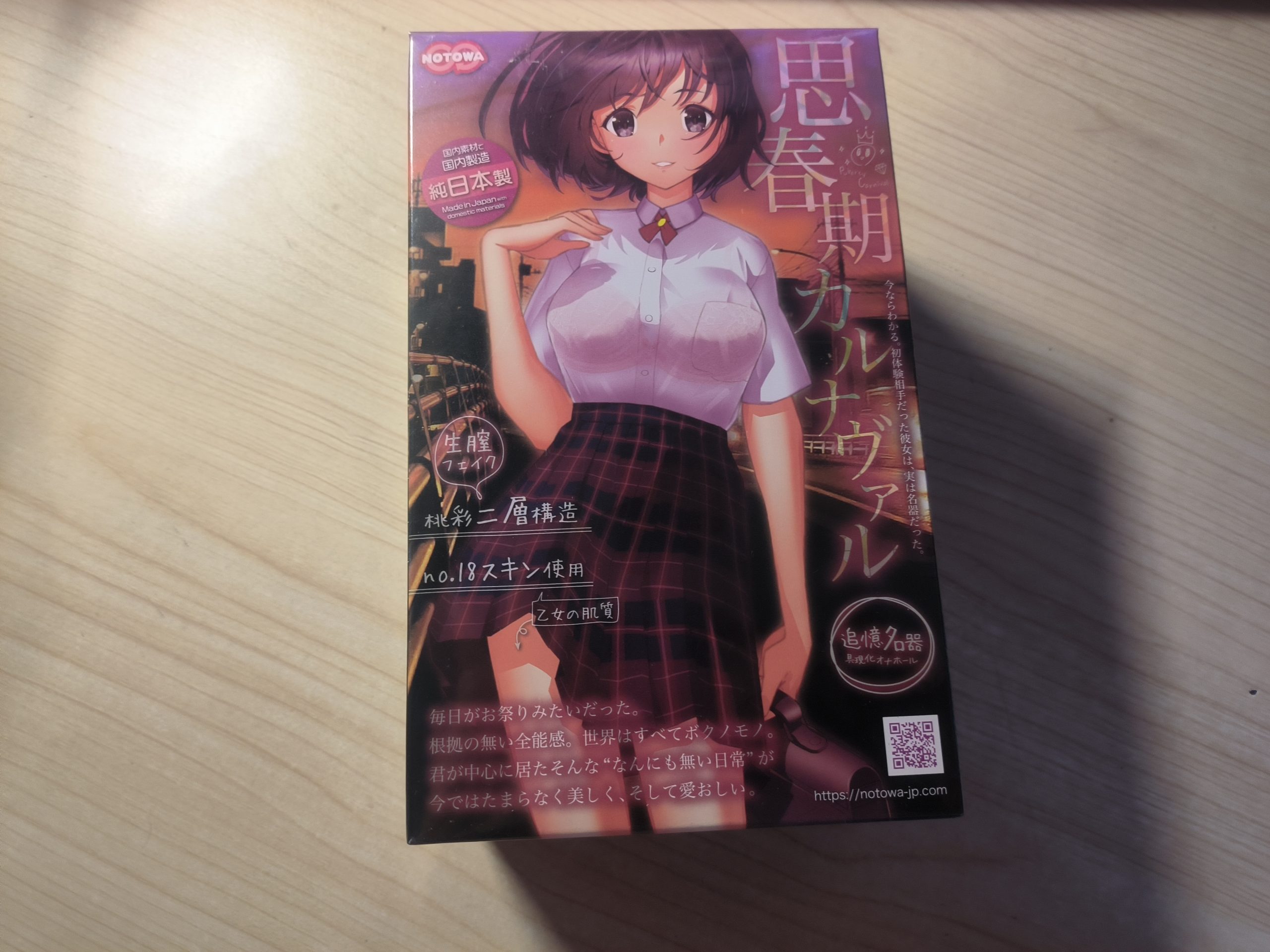 Notowa青春嘉年华 - 红茶研究室